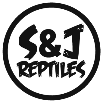S&j Reptiles - Currently Available